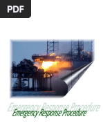 Ics Map Display Symbology | PDF | Incident Command System | Emergency ...