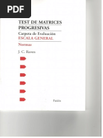 Protocolo de Prueba Raven: Formato y Diagnóstico | PDF