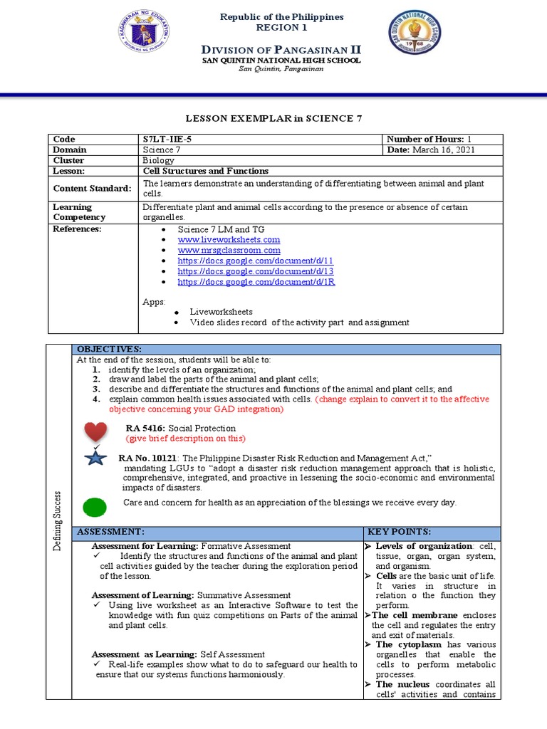 Demonstration Lesson Plan in Animal and Plant Cells | PDF | Cell ...