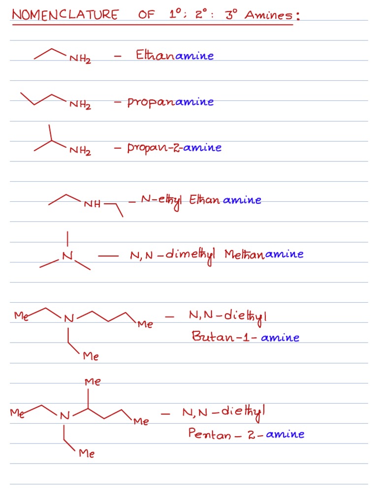 Amines and Nitrogen Compounds-1 | PDF | Amine | Carbon Compounds