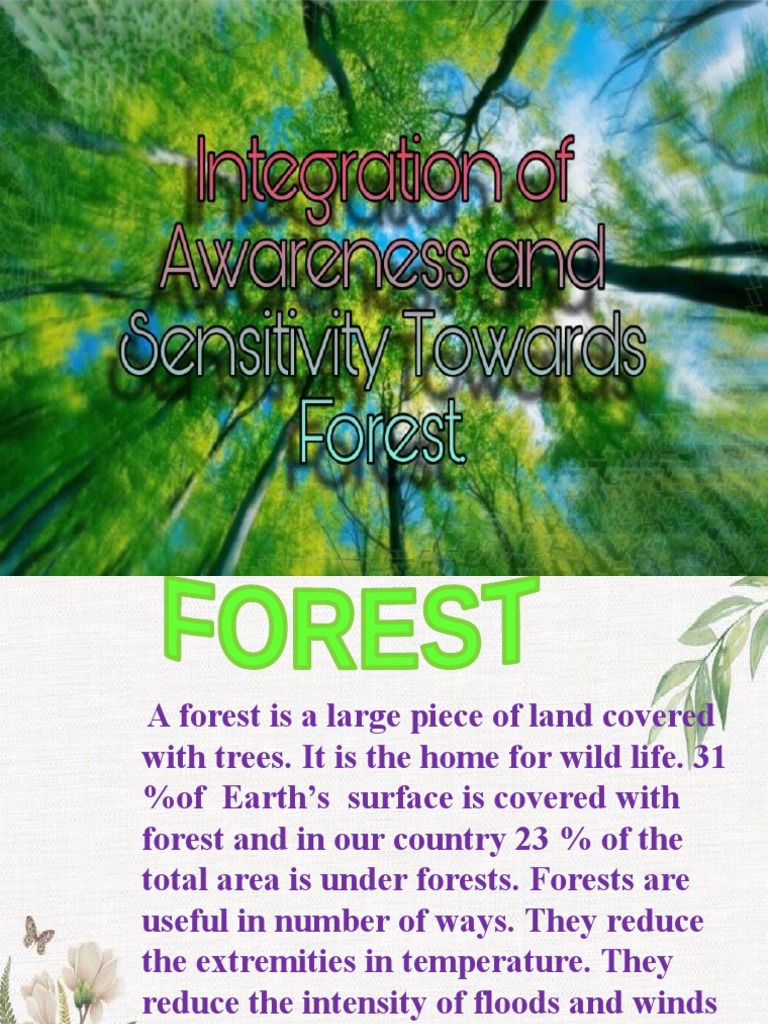 Forest | PDF | Forests | Ecology