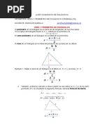 TEMA 4 - Semiperímetro y Área Del Triángulo | PDF | Triángulo | Matemáticas