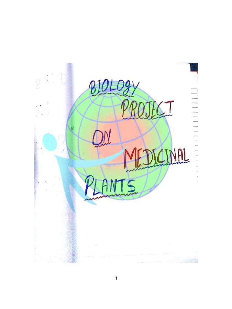 Biology Project File PDF CBSE Class 12 | PDF