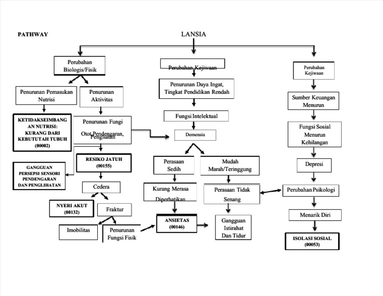 Pathway Risiko Jatuh pada Lansia | PDF