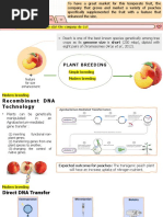 Biology Elements of Construct and Paper Structures | PDF | Biology ...