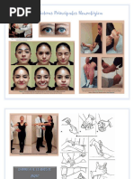 La Escala RIPASA | PDF