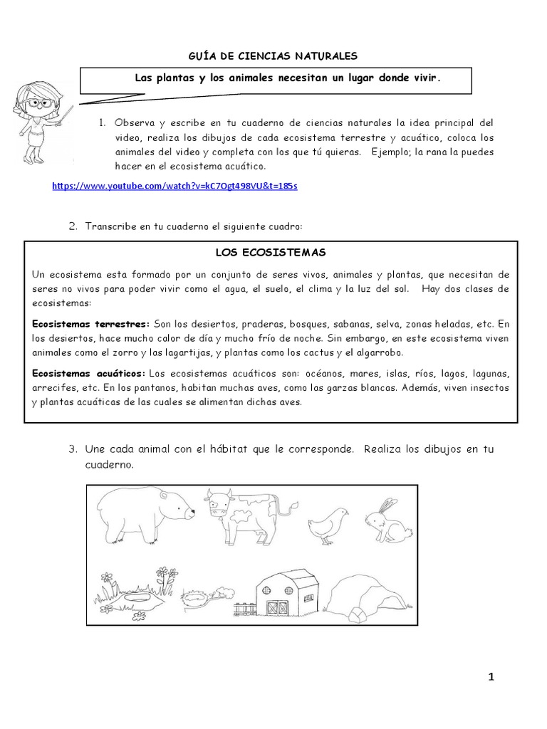 Guía de Ciencias Naturales Grado Segundo | PDF | Ecosistema | Suelo