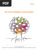 Marc Frechet | PDF | Mente inconsciente | Memoria