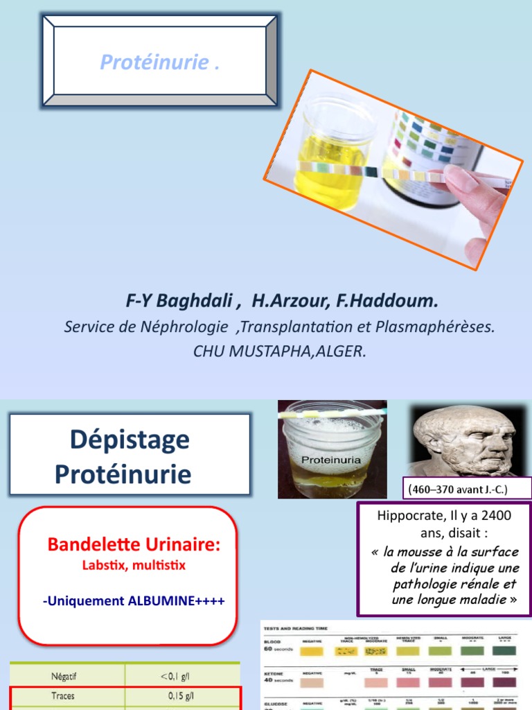 Protéinurie : Dépistage et Interprétation | PDF | Appareil urinaire ...