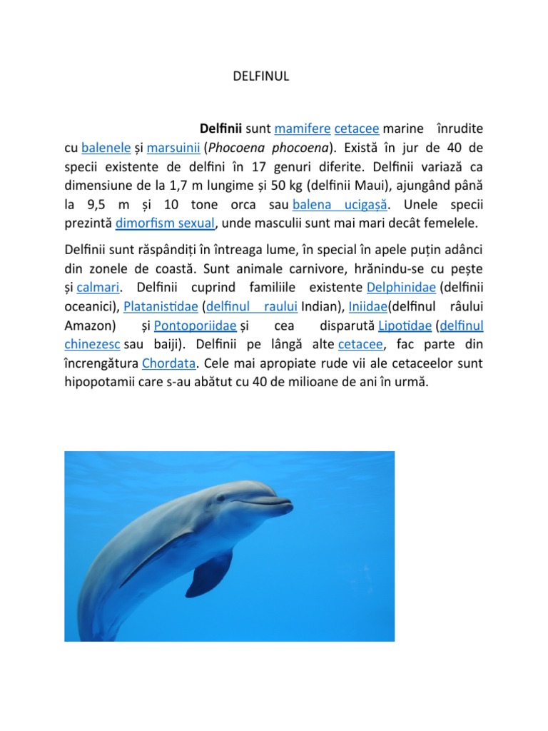 Delfin Ul | PDF