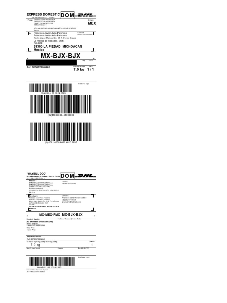 MX-BJX-BJX: Express Domestic | PDF