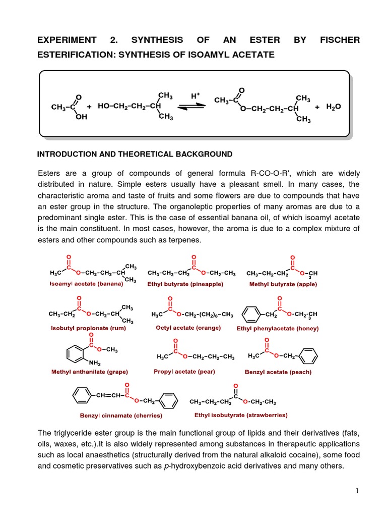 LAB QO 2 - Isoamyl Acetate | PDF | Ester | Distillation