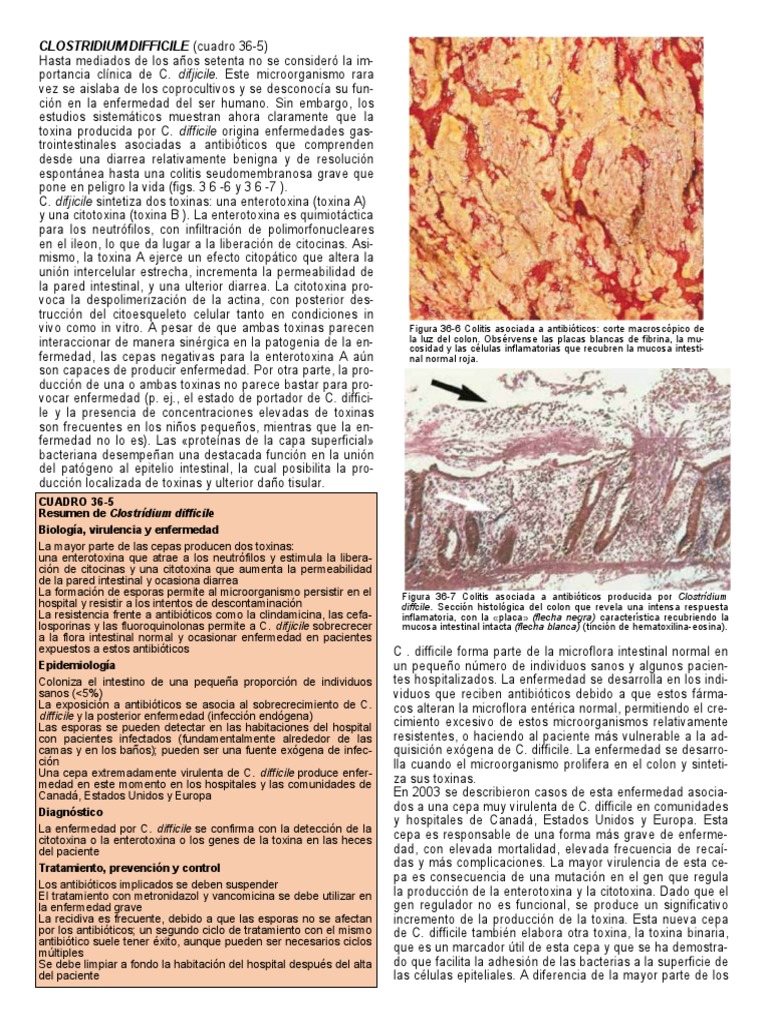 Clostridium Difficile | PDF | Diarrea | Especialidades Medicas