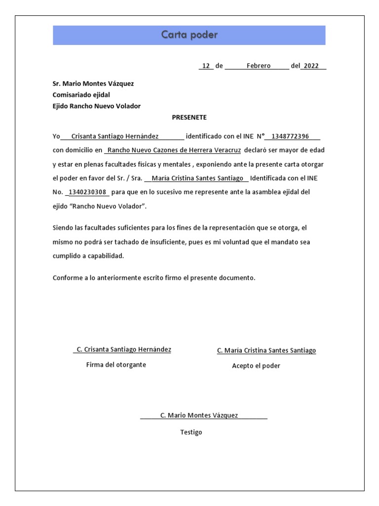 Formato de Carta Poder | PDF