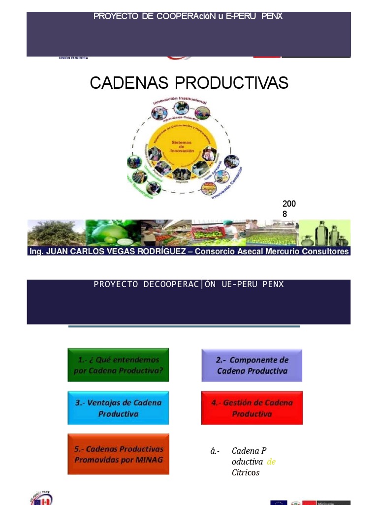 PDF Cadenas Productivas Presentacion 2013 2 2 | PDF | Economias ...