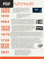Linea Del Tiempo Teoria Celular | PDF | Nucleo celular | Biología Celular)