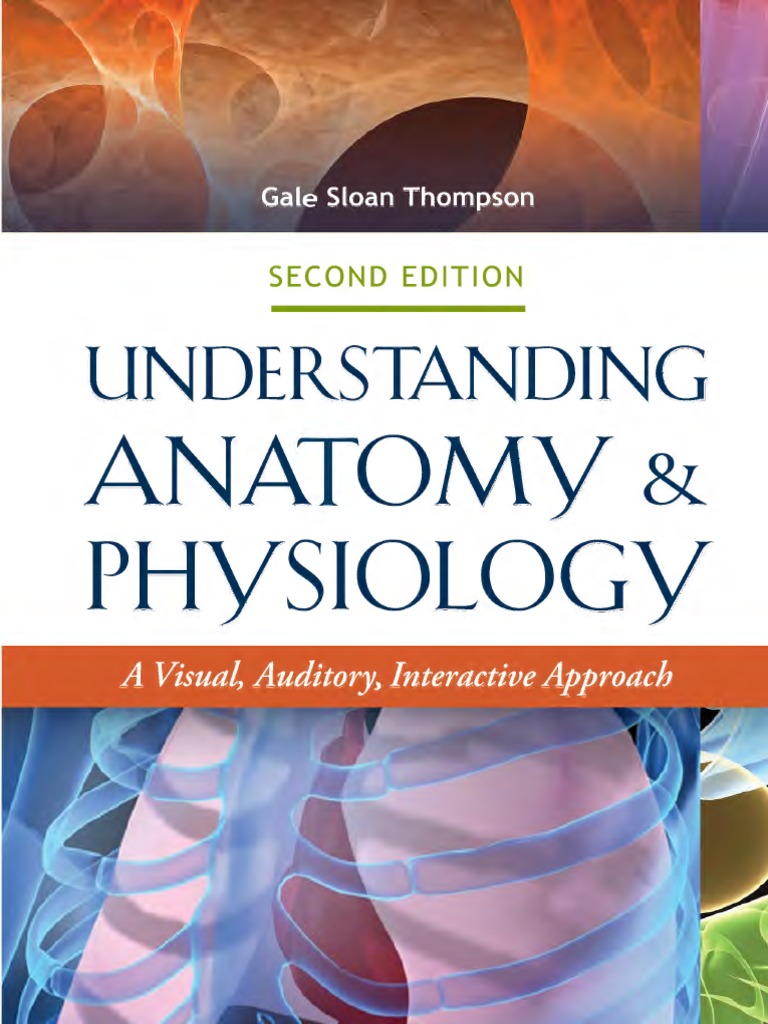 Anatomy and Physiology | PDF | Human Body | Abdomen