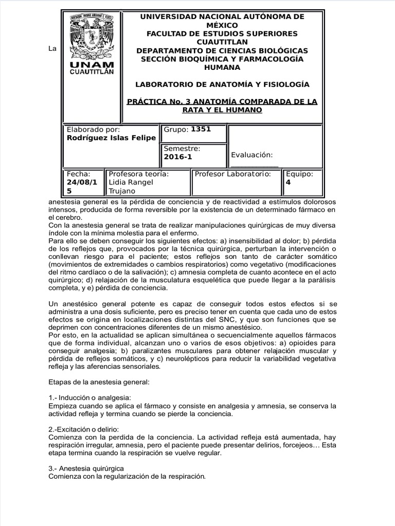 Anestesia y Anatomía Comparada Rata-Humano | PDF | Anestesia | Cuidado ...