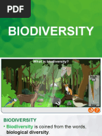 Taxonomy Foldable | PDF | Taxonomy (Biology) | Cell (Biology)
