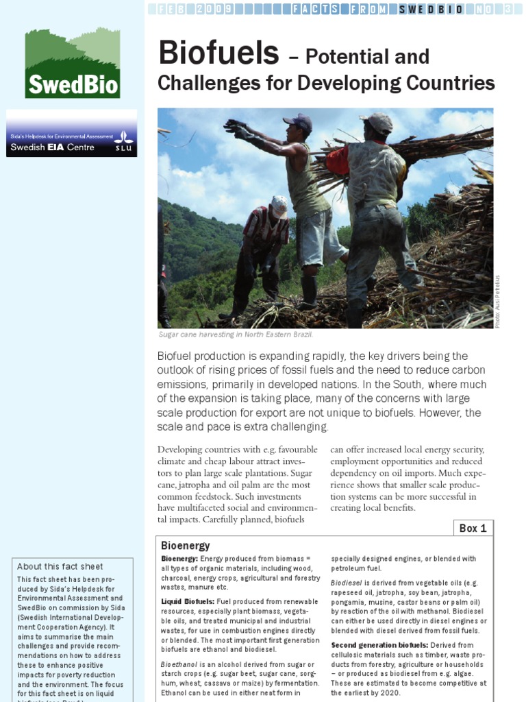 Biofuels: - Potential and Challenges For Developing Countries | PDF ...