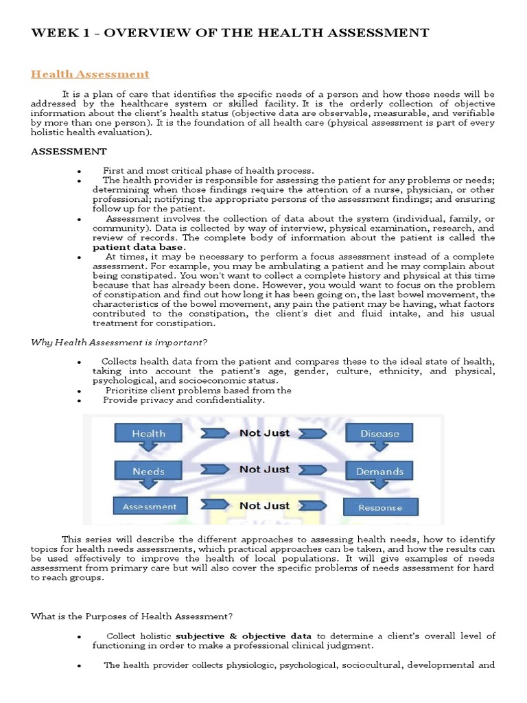 Overview of The Health Assessment | PDF | Patient | Emergency Department