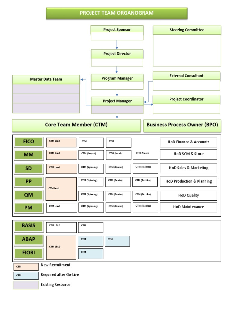 Project Team Organogram: Core Team Member (CTM) Business Process Owner (BPO) Fico MM SD PP QM | PDF