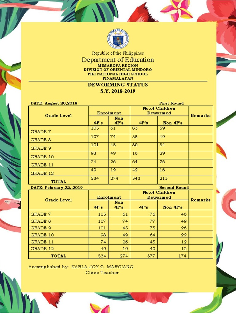 Department of Education: Deworming Status S.Y. 2018-2019 | PDF