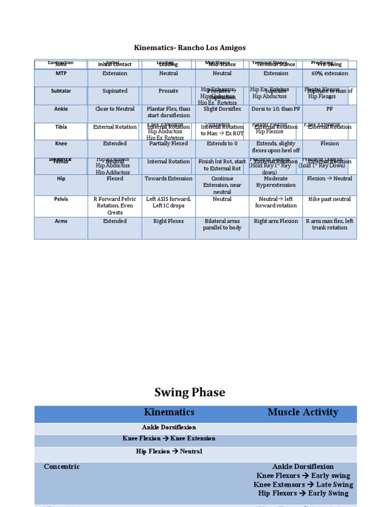 Kinesiology Tables | PDF | Anatomical Terms Of Motion | Hip