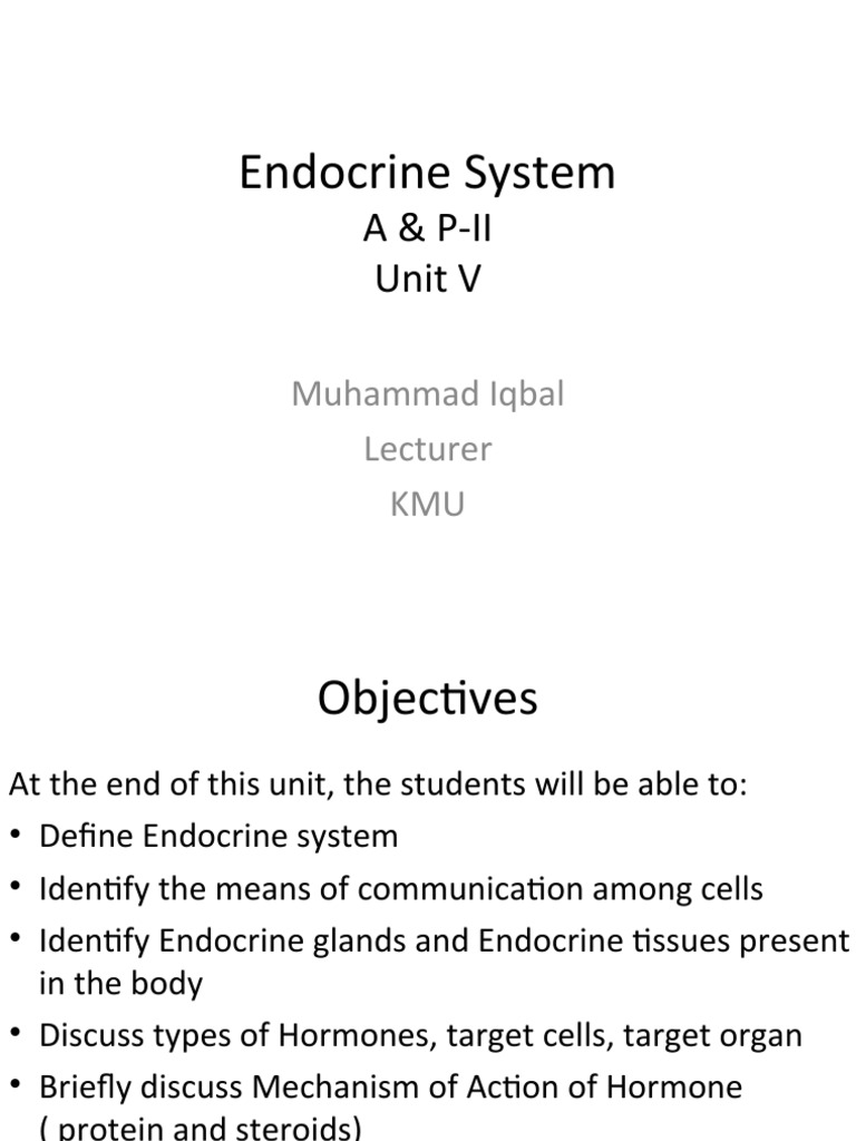 Overview of the Endocrine System | PDF | Endocrine System | Hormone