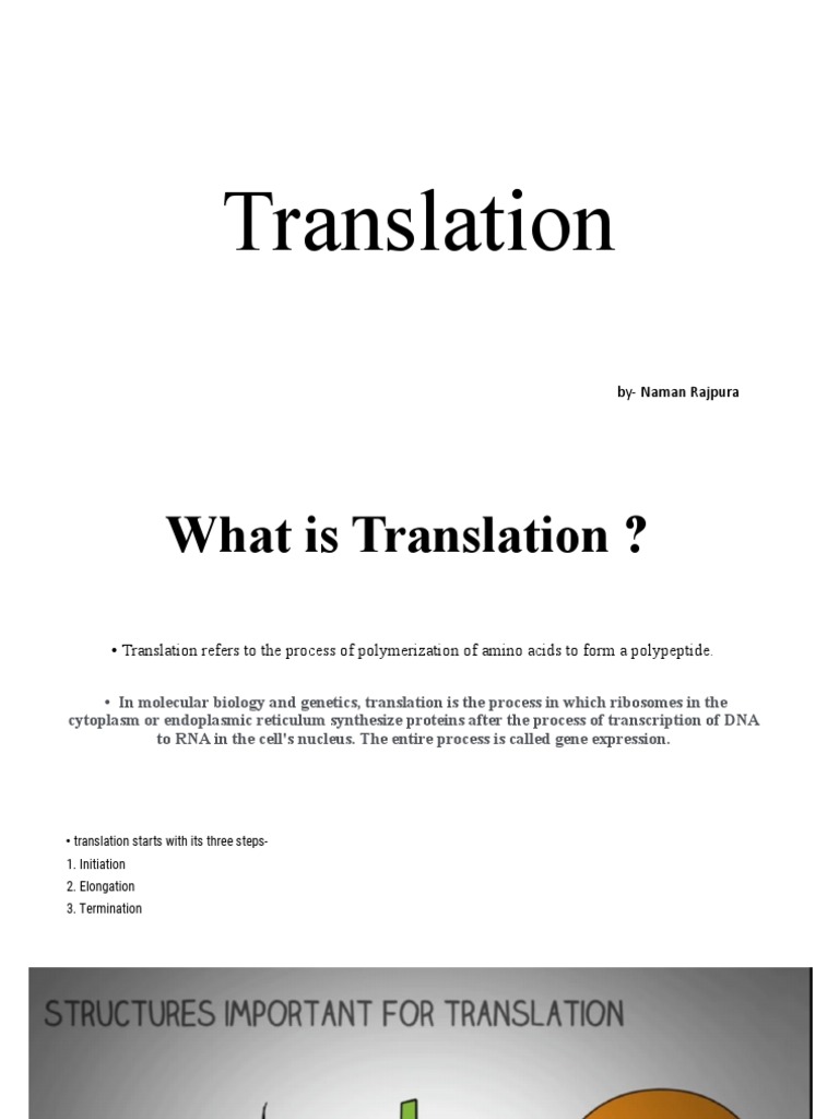 What Is Translation Biology Class 12th | PDF
