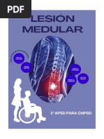 Guía Integral para Lesión Medular | PDF | Lesión de la médula espinal | Dolor