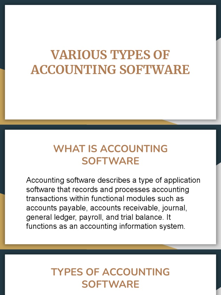 Various Types of Accounting Software | PDF