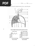 Worksheet Part 2 Plasma Membrane | PDF | Cell Membrane | Biotechnology