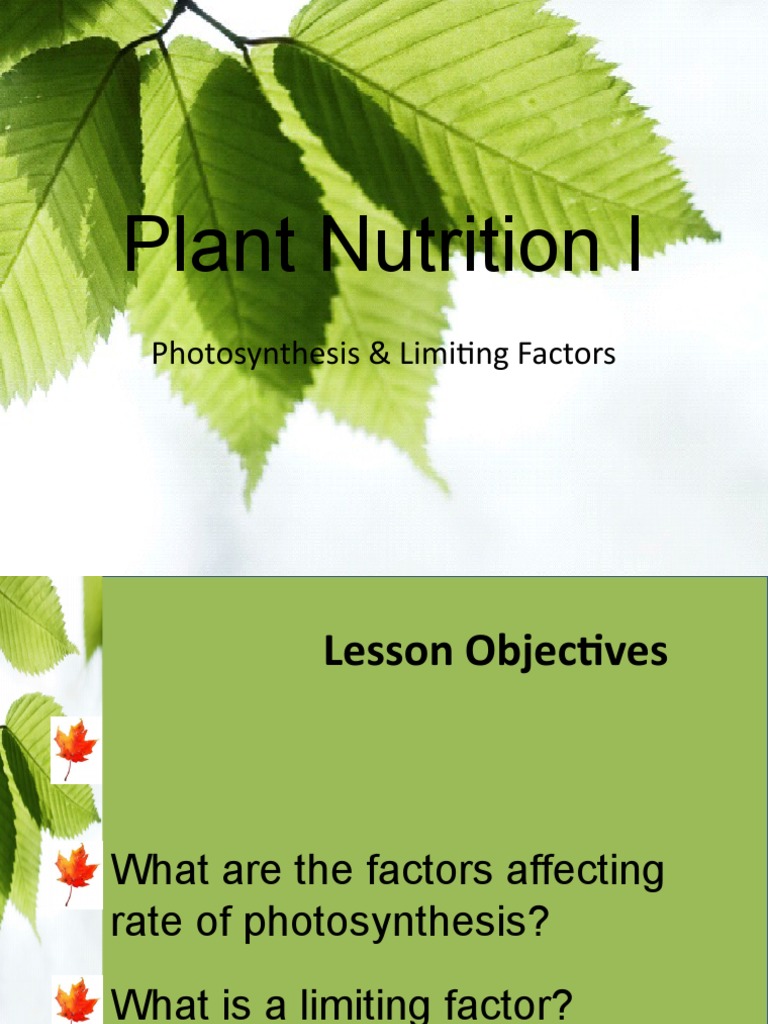 Factors Affecting Photosynthesis | PDF | Carbon Dioxide | Enzyme