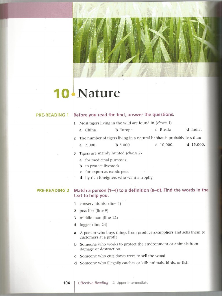 Effective Reading 4 Unit 10 | PDF