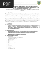 Prueba de Excentricidad en Balanzas | PDF | Química | Ciencias fisicas