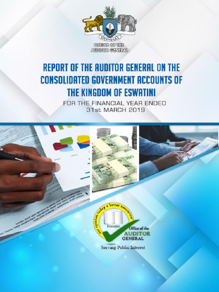 2019 Auditor General Annual Report | Download Free PDF | Audit | Going ...
