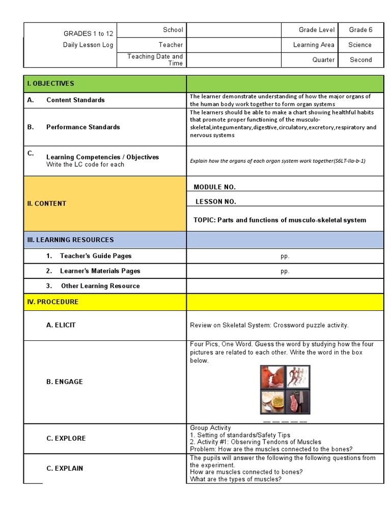 SAMPLE DLP ON PBL UISNG 7es | Download Free PDF | Skeletal Muscle ...