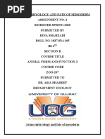 Goat Skeletal Anatomy Overview | PDF | Vertebra | Vertebral Column