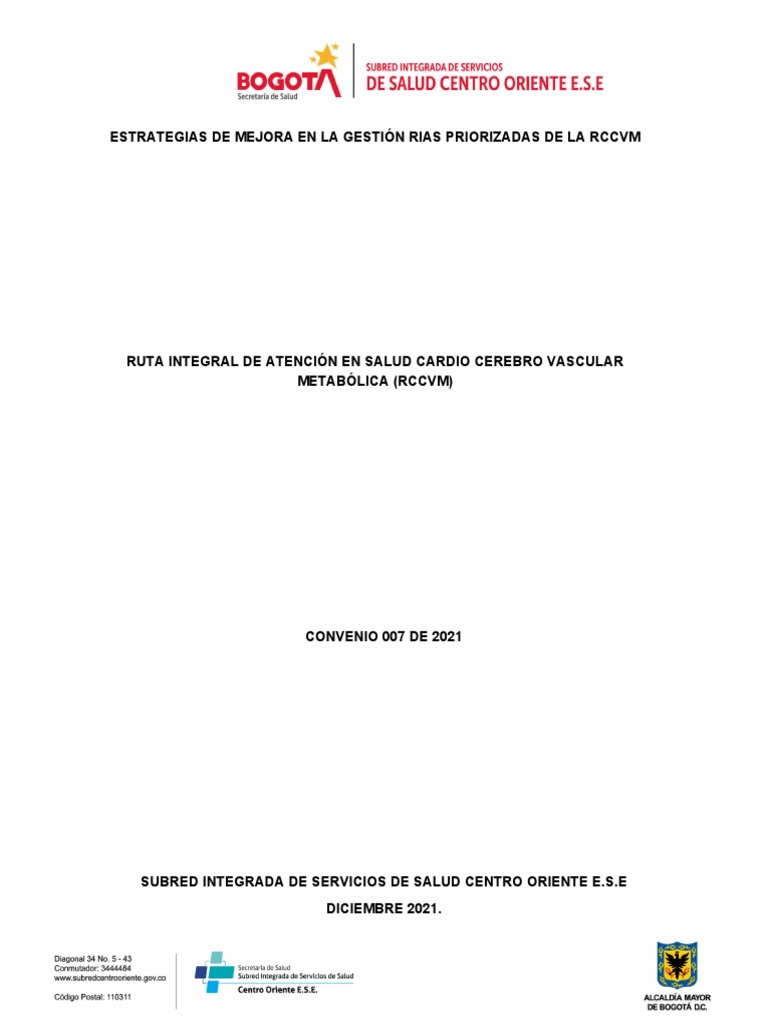 Anexo 4 PRODUCTO 4 Estrategias de Mejora en La Gestión RIAS Priorizadas de La RCCVM | PDF ...