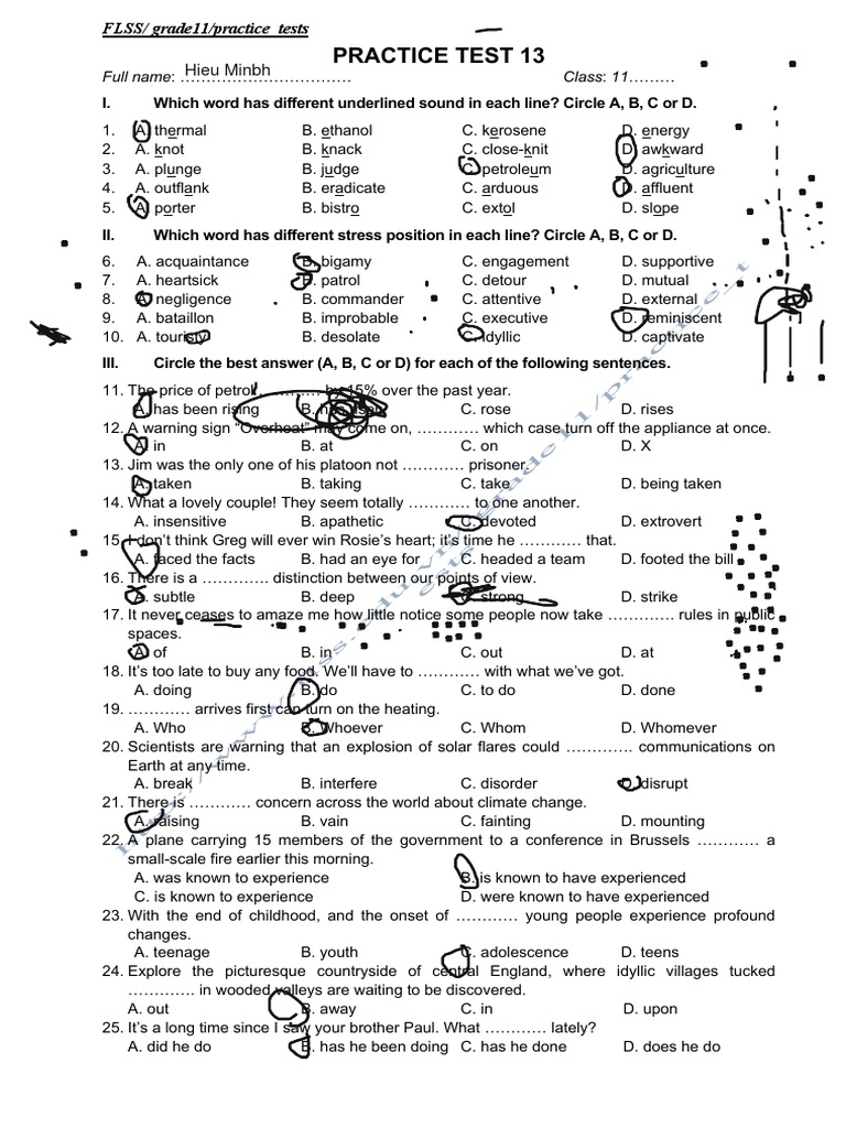 Practice Test 13 G11 Student Pdf Energy Development Solar Power