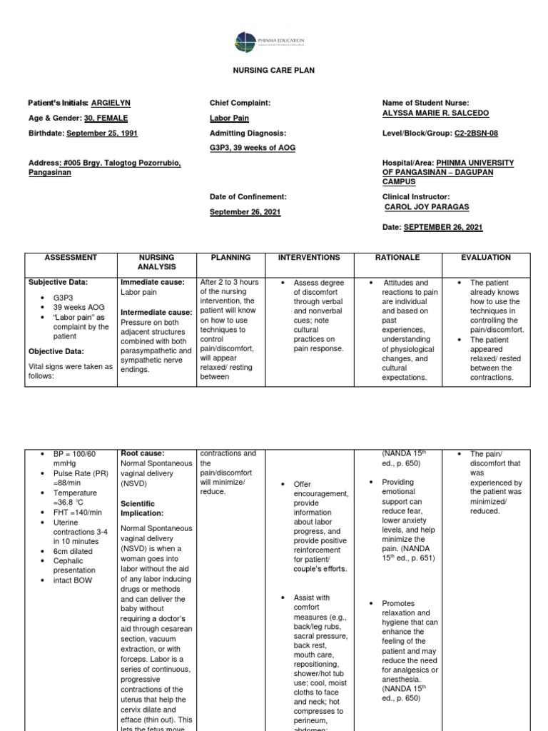 Nursing Care Plan | PDF | Childbirth | Medical Specialties