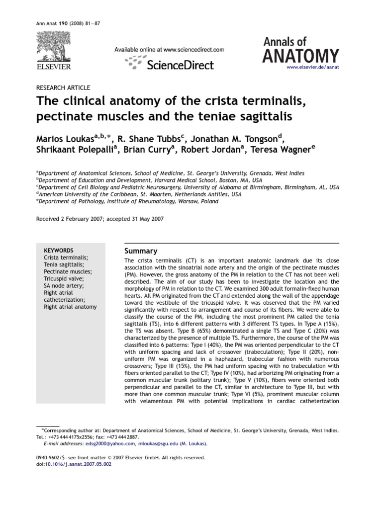 The Clinical Anatomy of The Crista Terminalis, Pectinate Muscles and ...