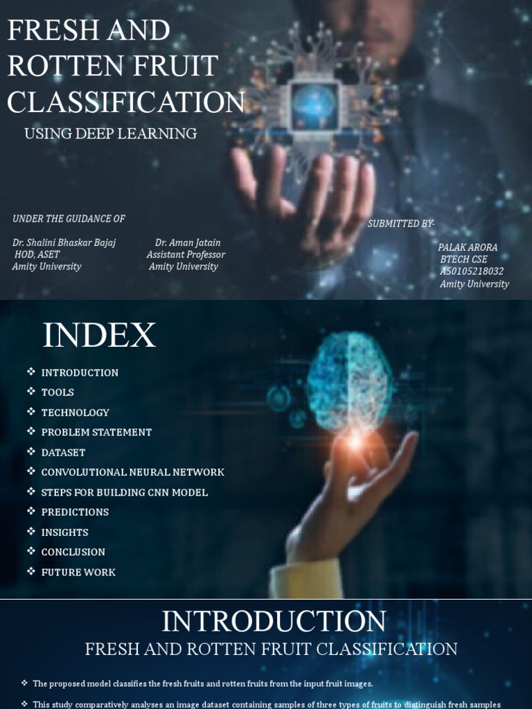 Fresh and Rotten Fruit Classification: Using Deep Learning | PDF ...