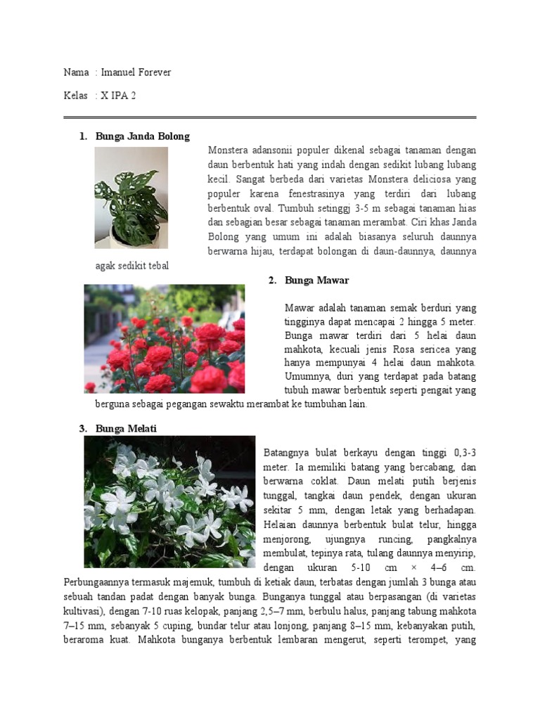 Ciri dan Jenis Tanaman Hias Bunga | PDF | Griya & Taman