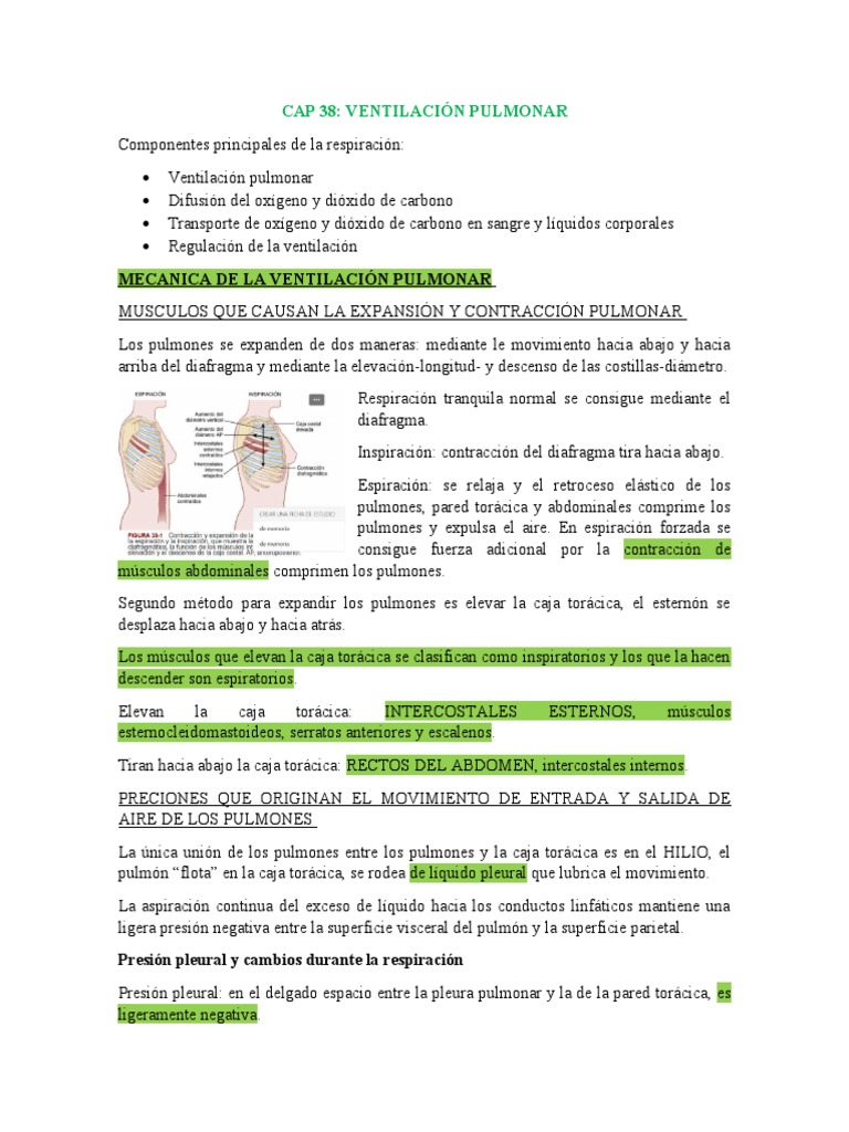 Cap 38-Ventilación Pulmonar | PDF | Pulmón | Sistema respiratorio