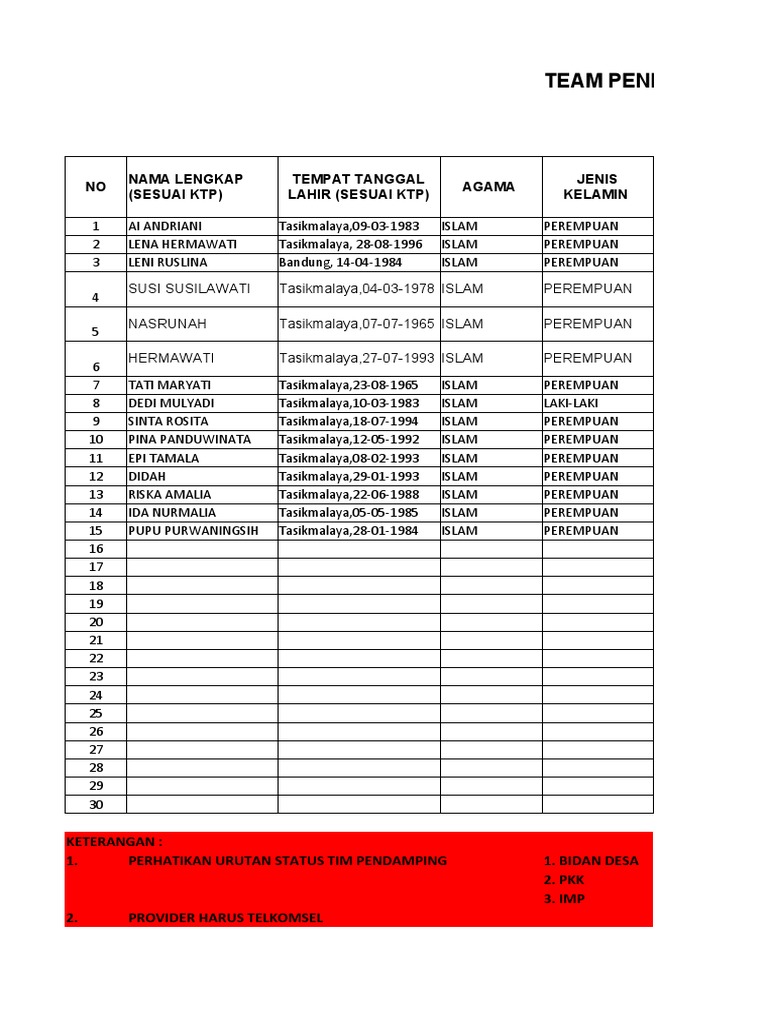 Contoh Pengisian Format Tim Pendamping Keluarga | PDF