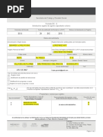 Formato DC-2 - Ejemplo Llenado | PDF | Empresas | Business