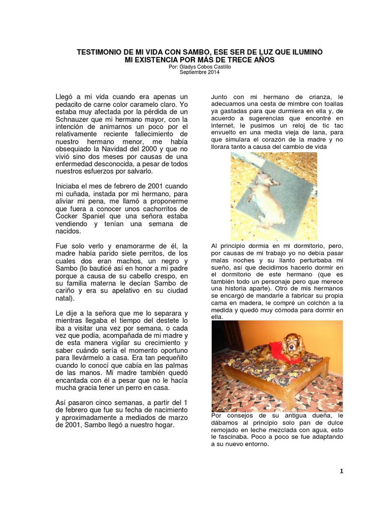 Vida de Sambo | PDF | Amor | Alimentos