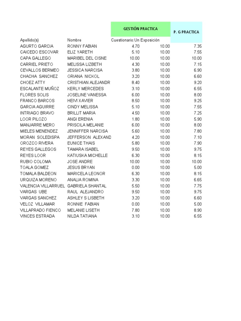 Gestión Practica P. G Practica | PDF